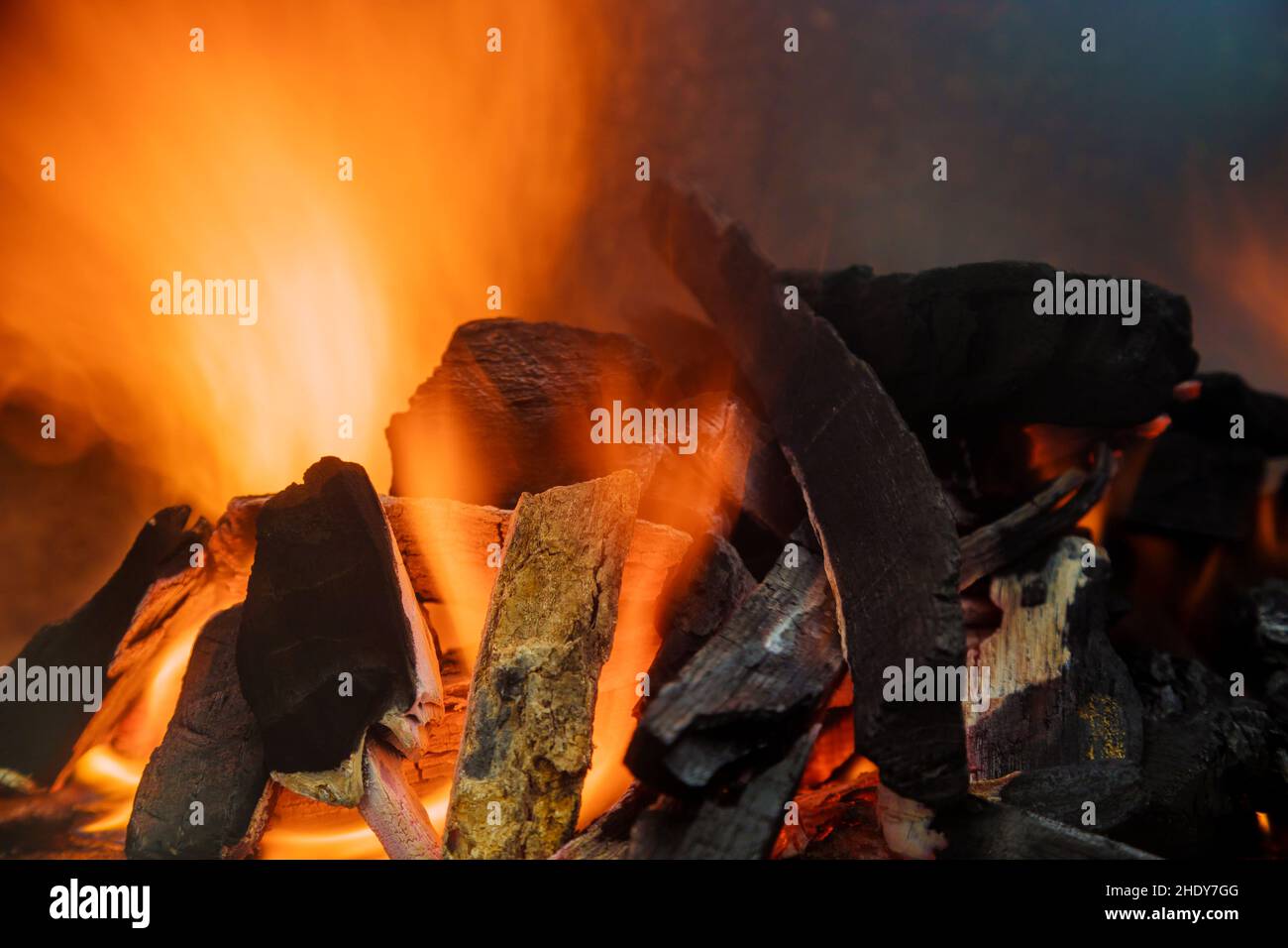 Log natur hi-res stock photography and images - Alamy