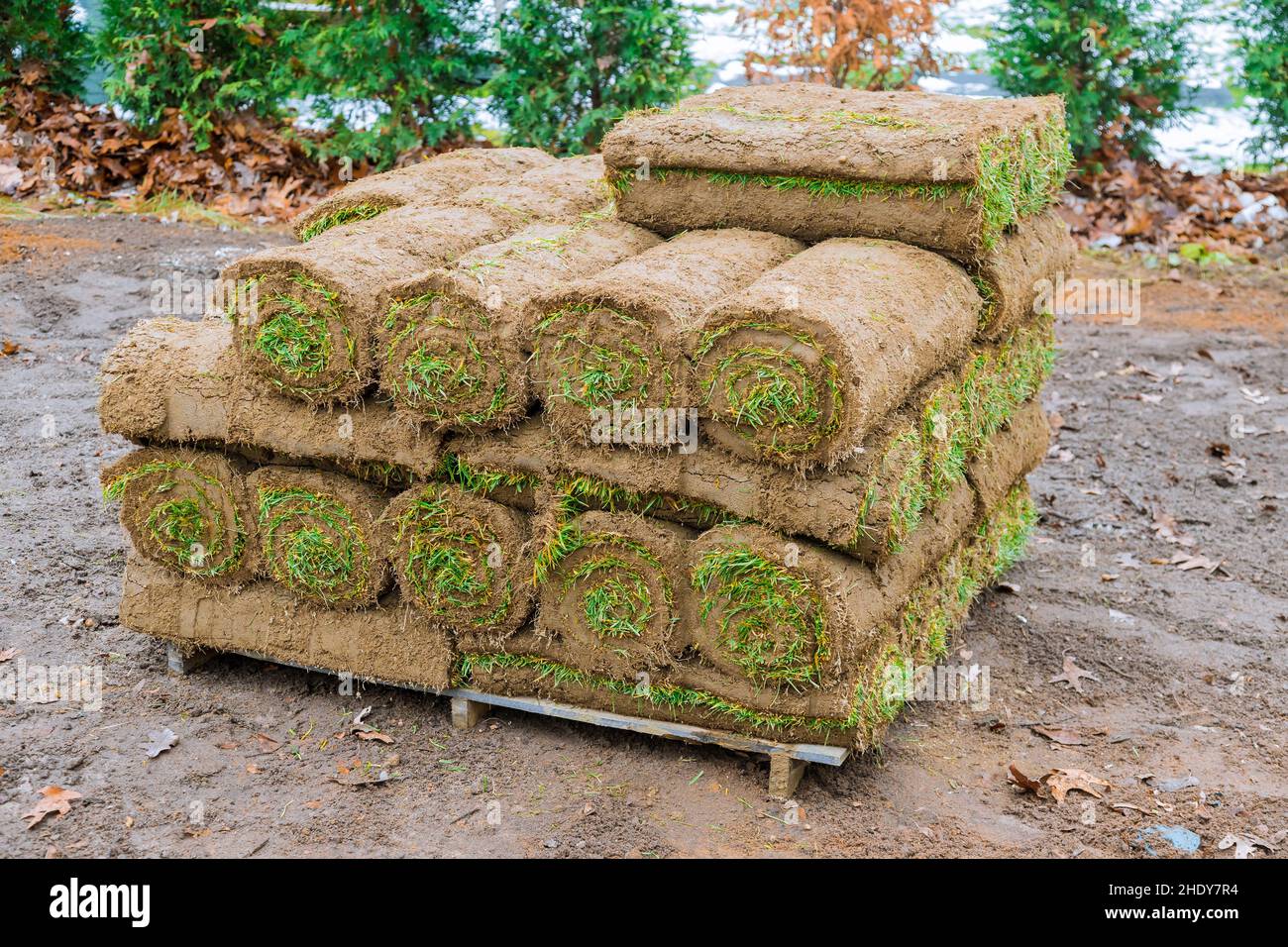 rolled sod, rolled sods Stock Photo - Alamy