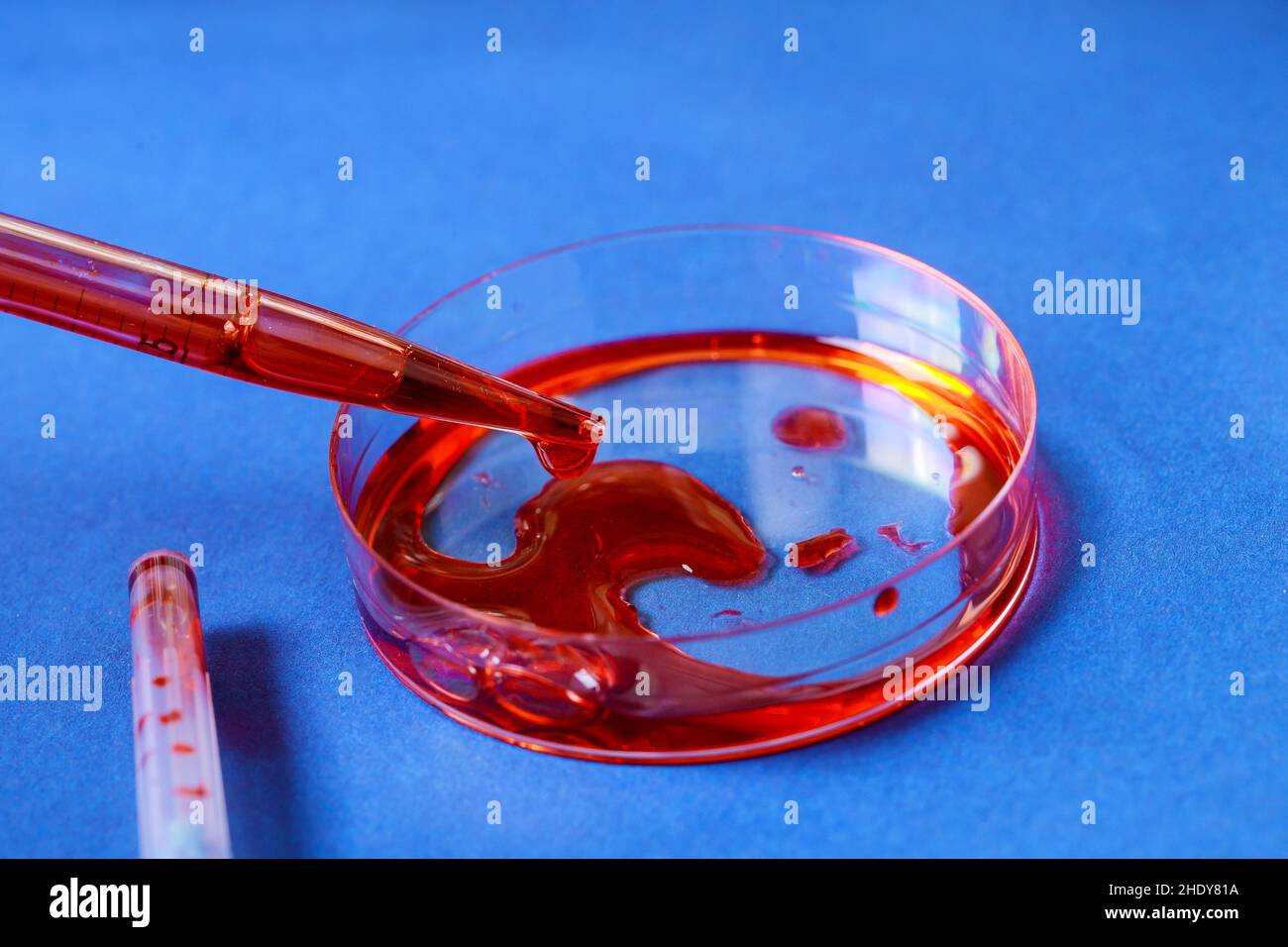 blood, laboratory examination, bloods, laboratory examinations Stock ...