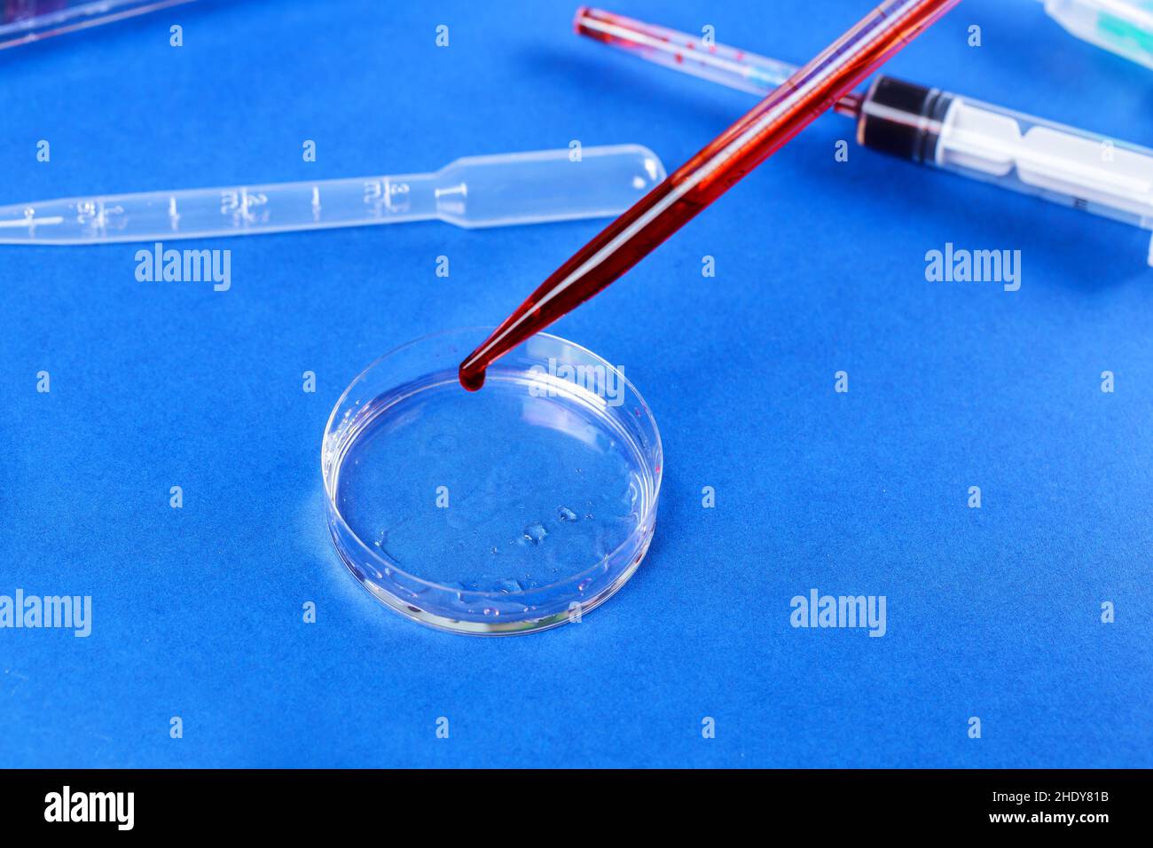 examination, laboratory, blood sample, procedure, laboratories, blood ...