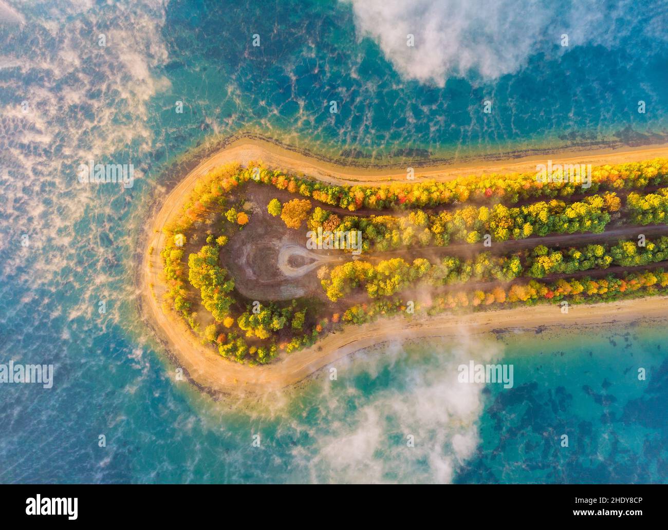 sea, trees, spit, seas, tree, spits Stock Photo - Alamy