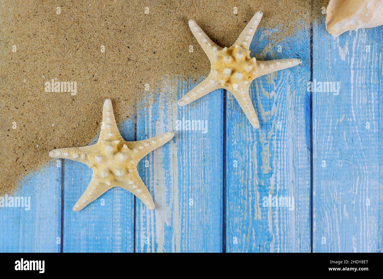 starfish, maritim, jetsam, starfishs, maritims, jetsams Stock Photo - Alamy