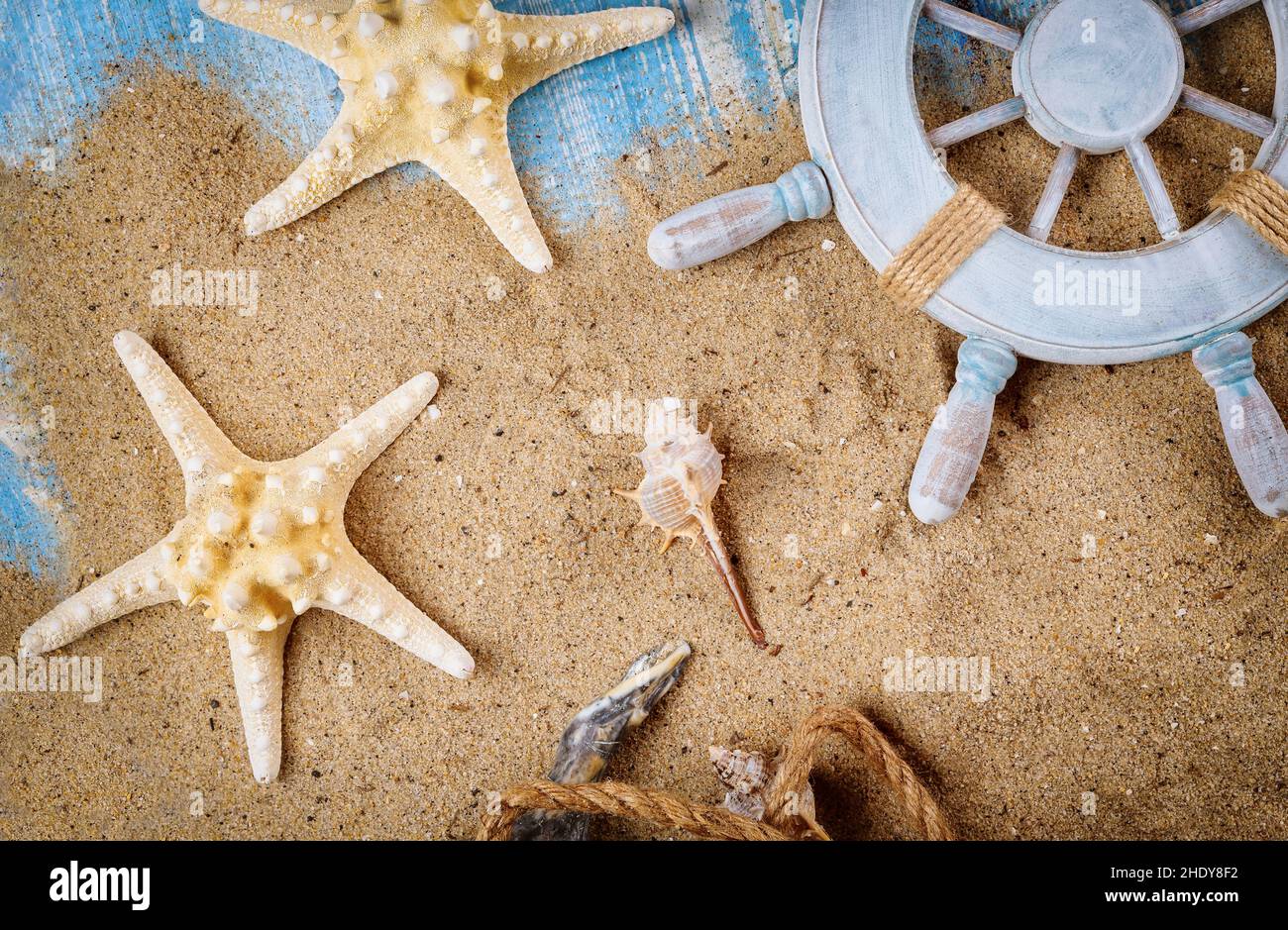 starfish, jetsam, steering wheel, starfishs, jetsams Stock Photo - Alamy