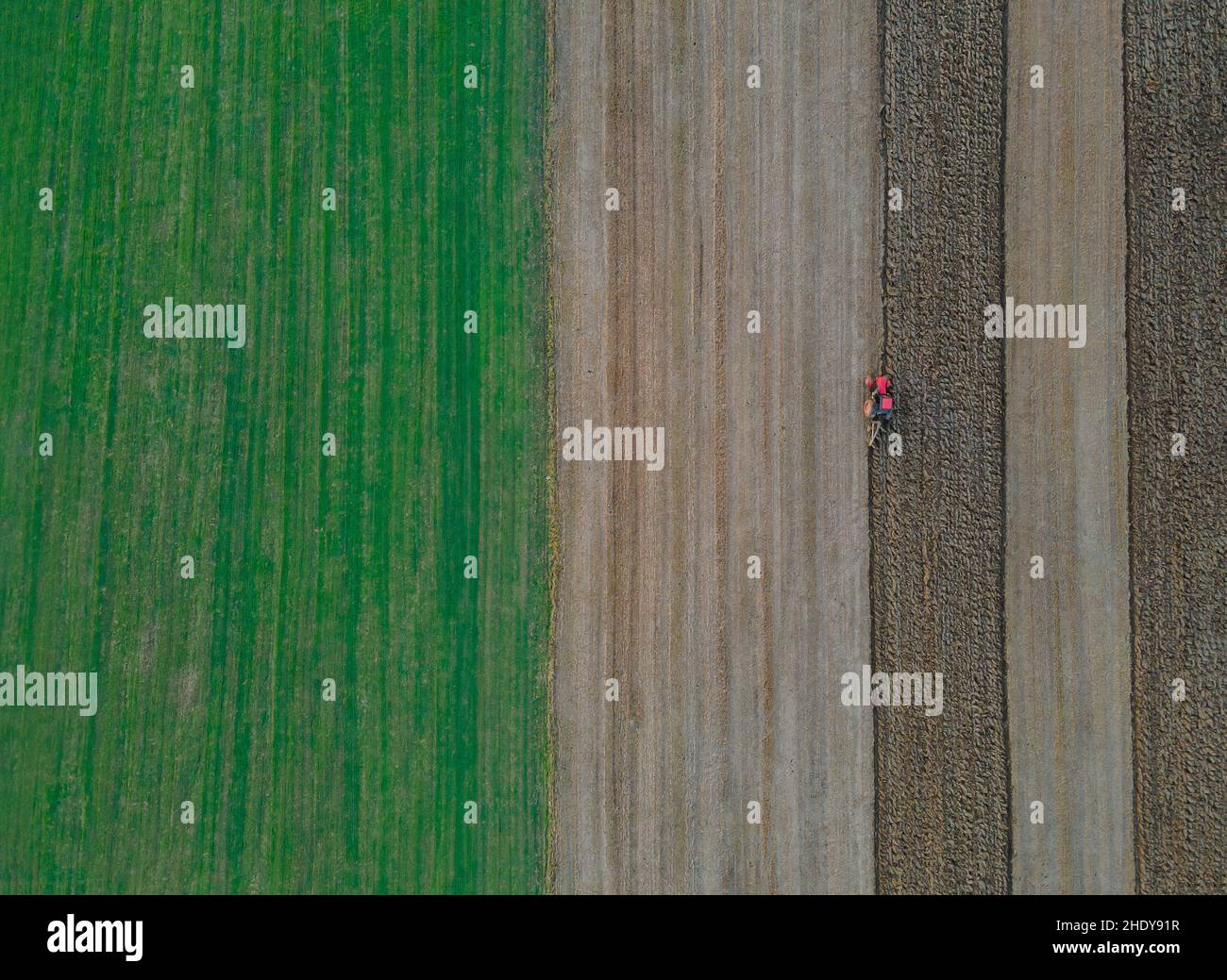 arable, agriculture, tractor, arables, agricultures, tractors Stock ...