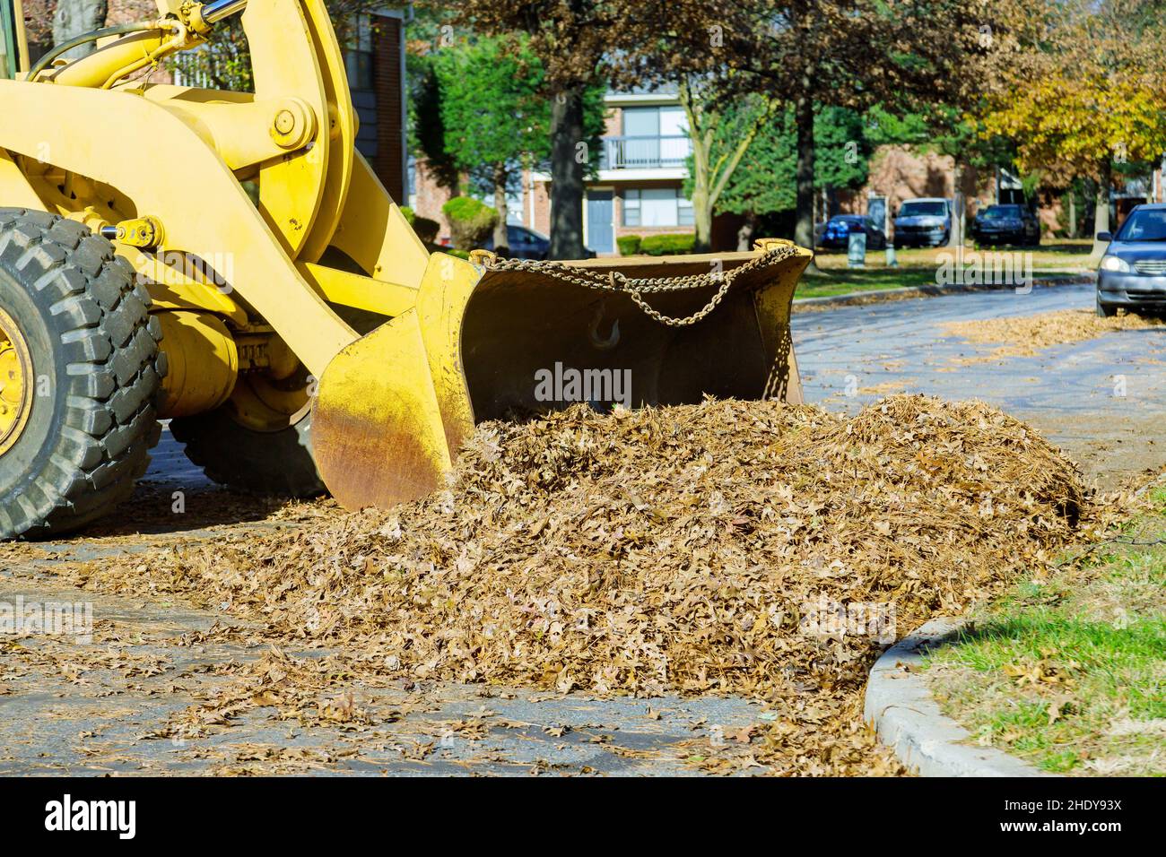 autumn leaves, excavator, street cleaning, leaf, earth movers Stock ...
