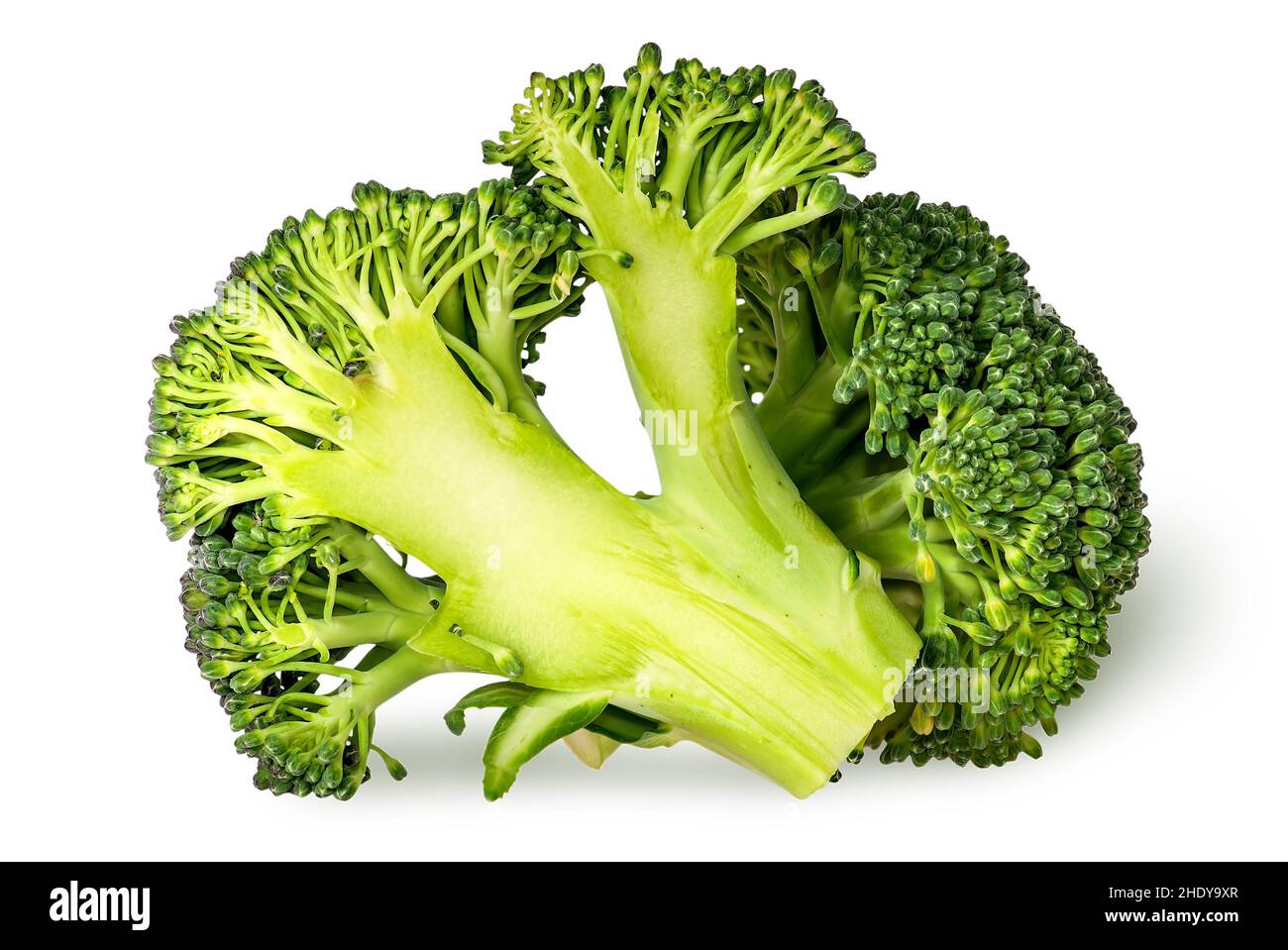 broccoli, florets, broccolis, floret Stock Photo - Alamy