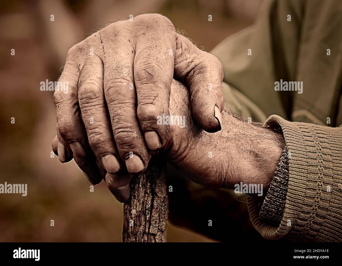 hands, working hands, hand Stock Photo - Alamy