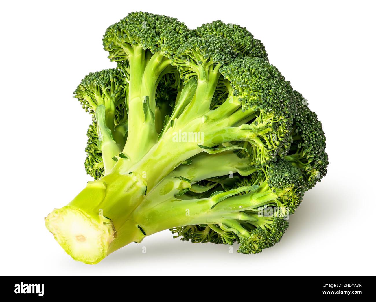 broccoli, broccoli florets, broccolis Stock Photo - Alamy