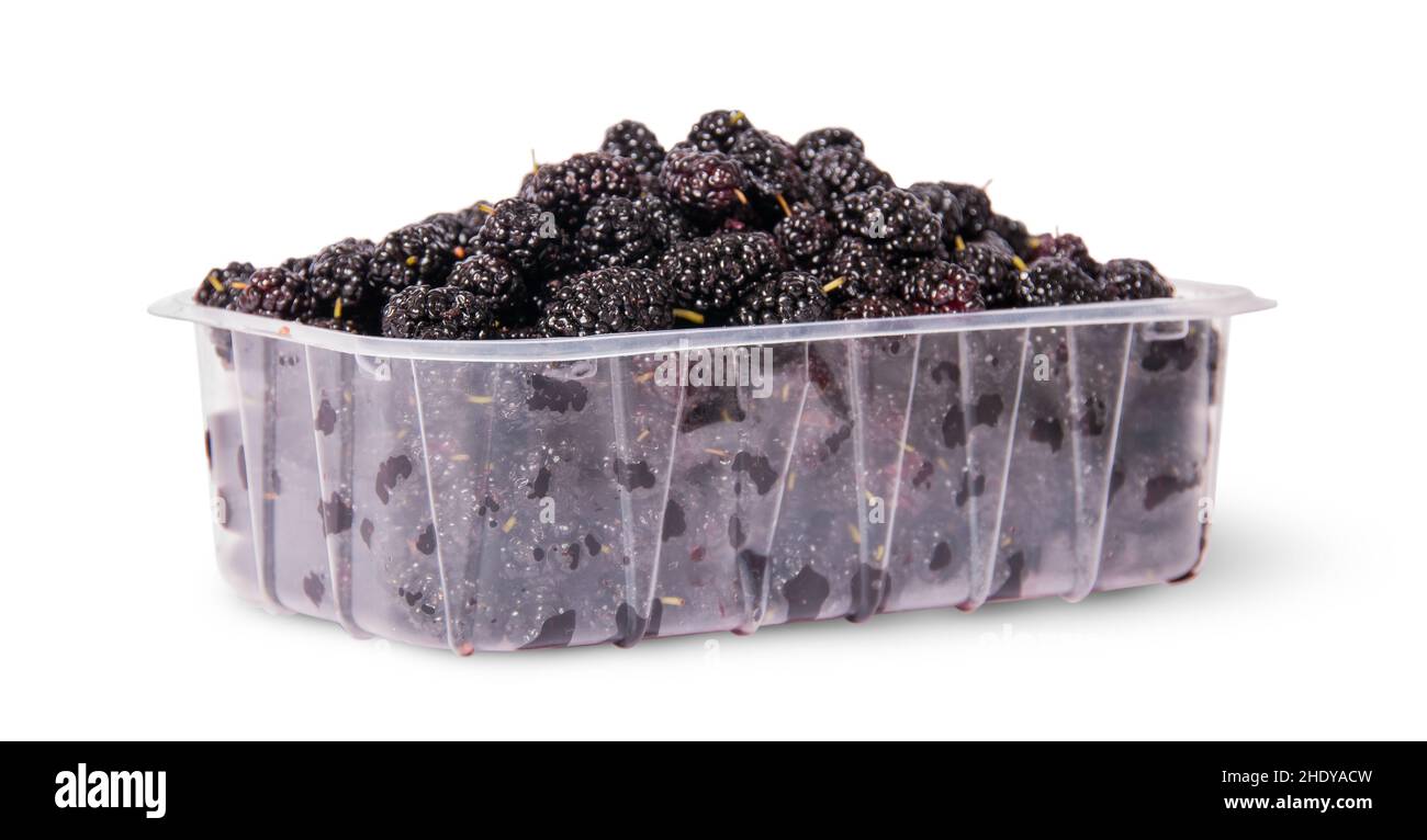 Mulberrys hi-res stock photography and images - Alamy