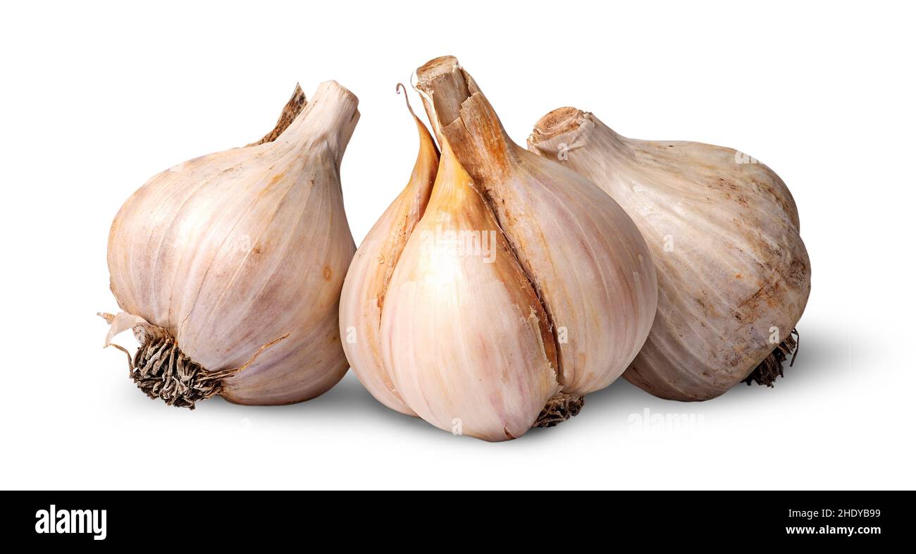 Garlic clove spice garlics Cut Out Stock Images & Pictures - Alamy
