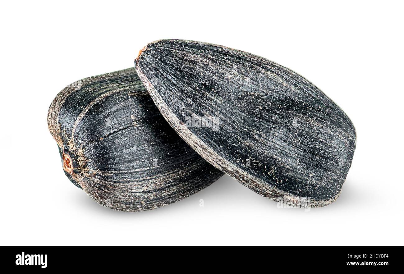 sunflower seeds, sunflower seed Stock Photo - Alamy