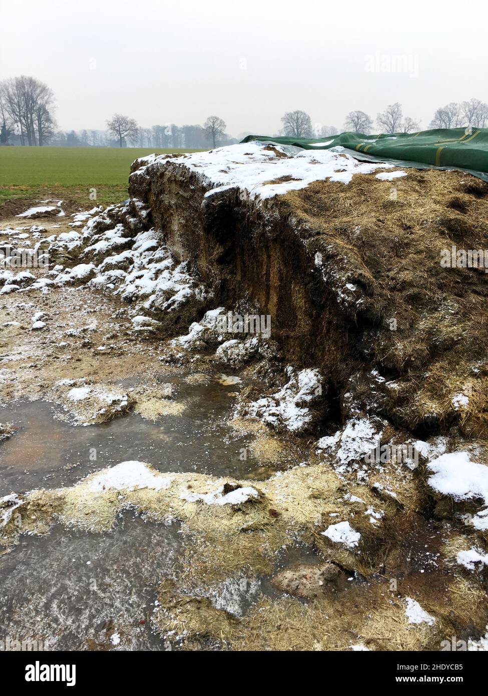 agriculture, compost, composting, agricultures, composts Stock Photo ...