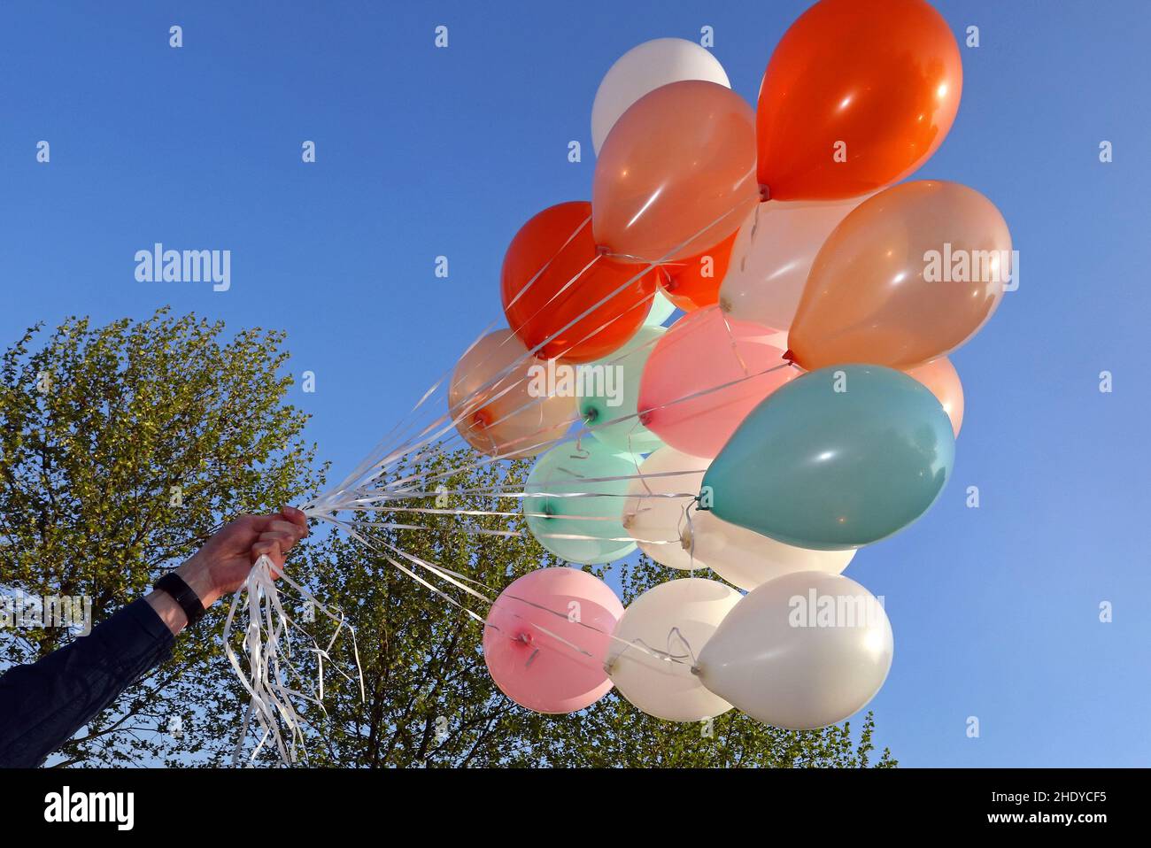 balloon, helium balloon, balloons, helium balloons Stock Photo - Alamy