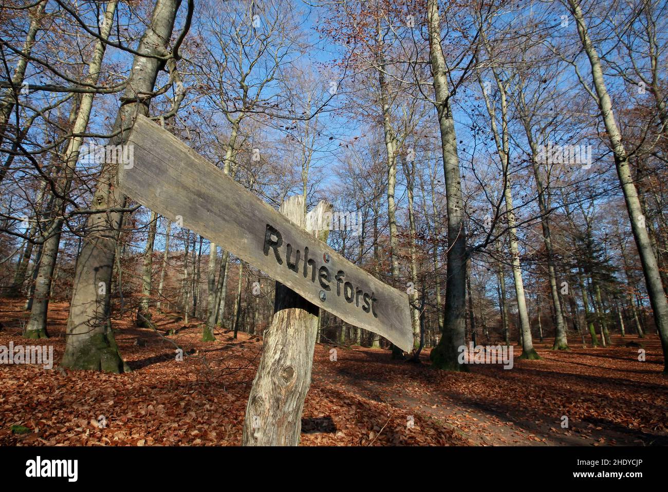 Burial forests hi-res stock photography and images - Alamy