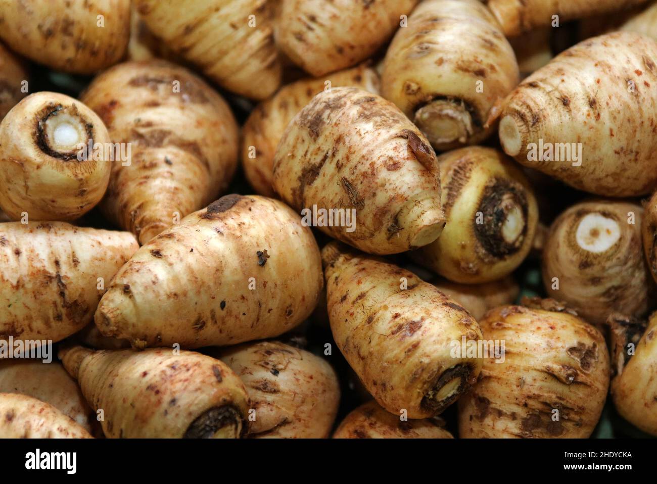 Turnip rooted chervil hi-res stock photography and images - Alamy