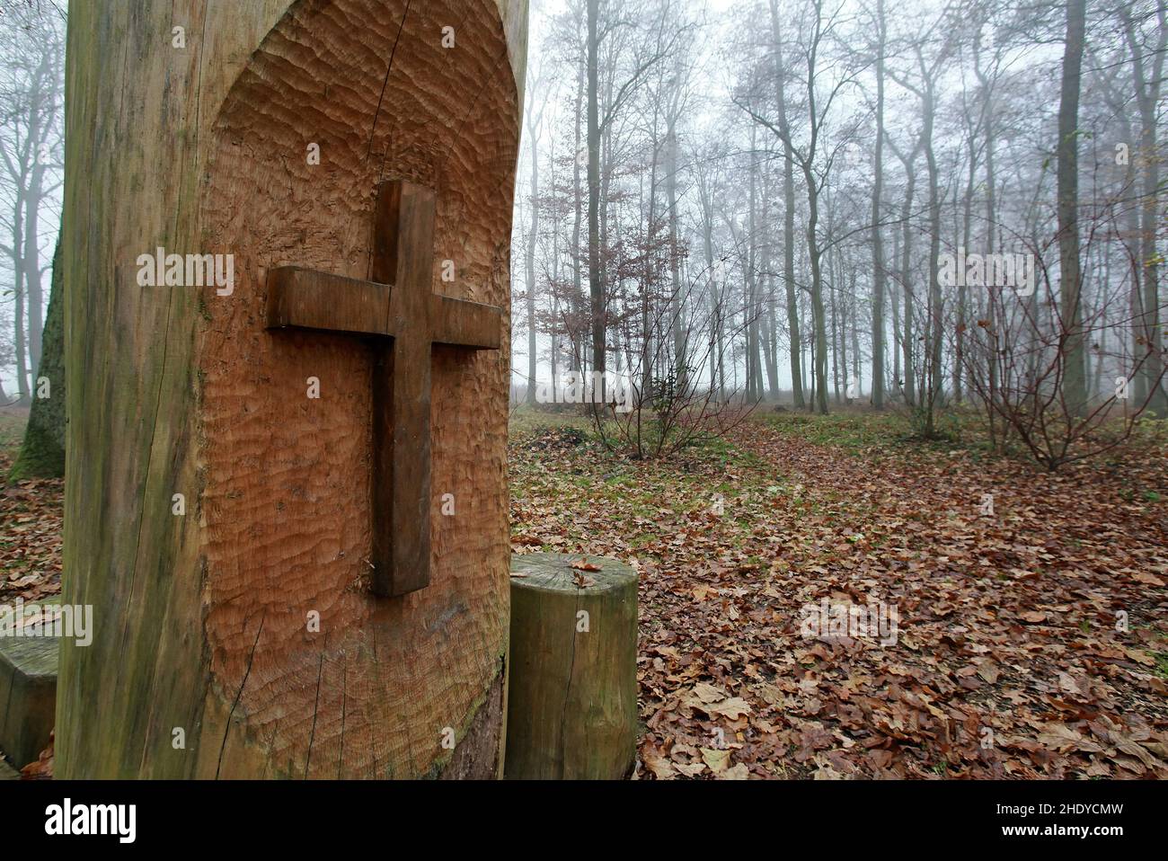 forest, cemetery, forests, wood, woodland, woods Stock Photo - Alamy