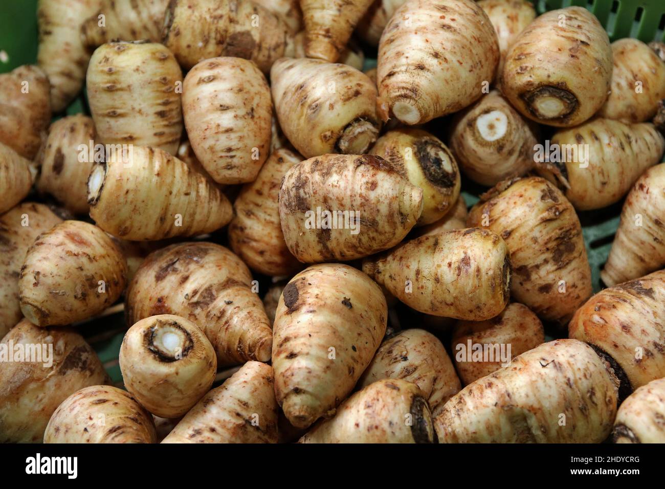 Chervil horizontal hi-res stock photography and images - Alamy