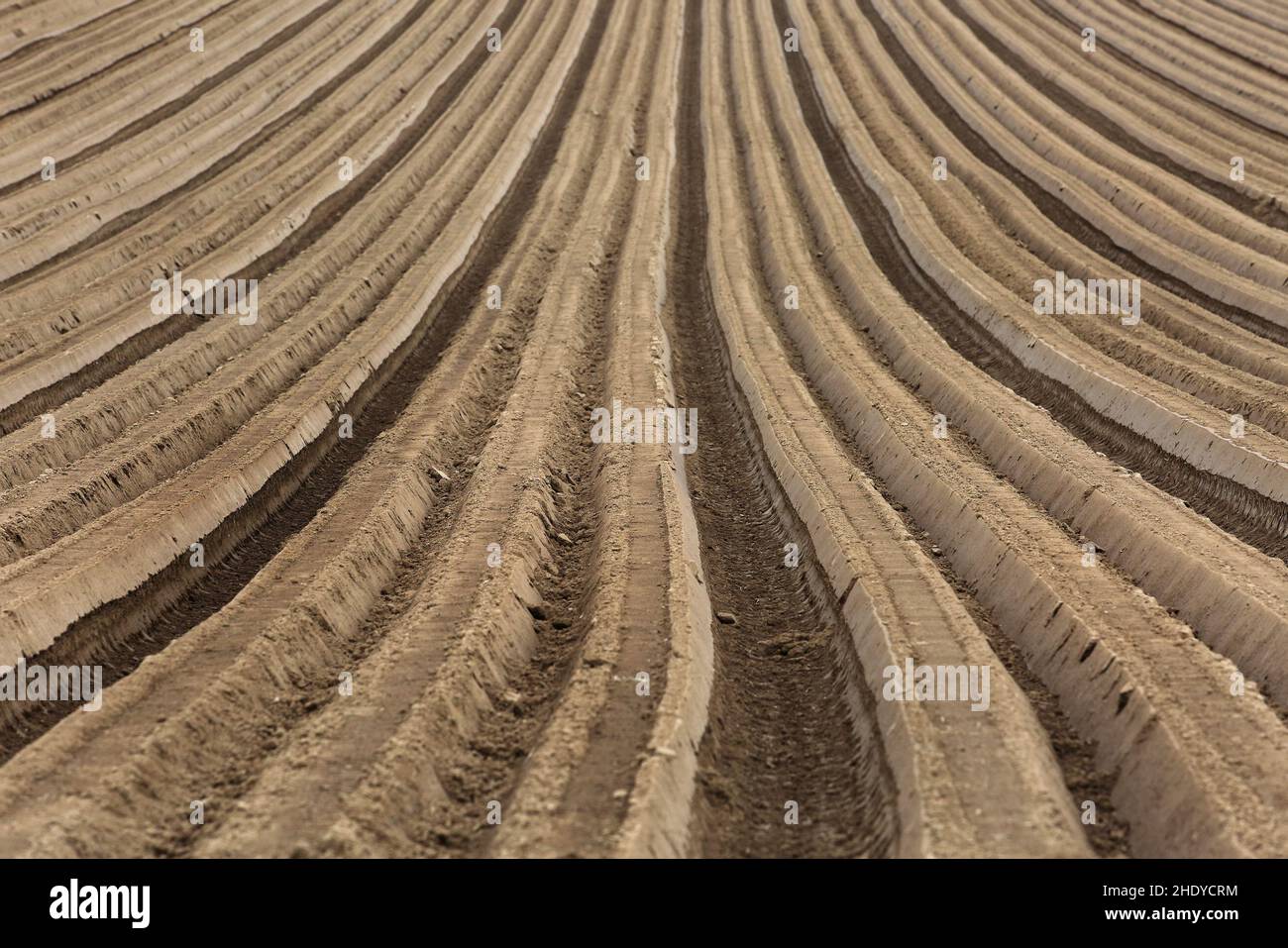 Furrows texture hi-res stock photography and images - Alamy