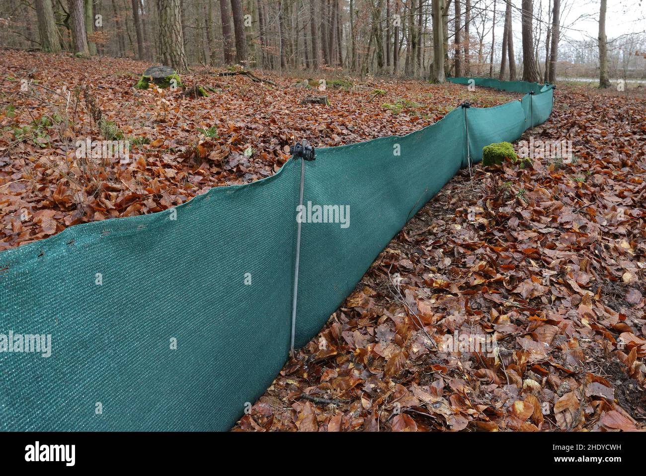 Amphibian protection fence hi-res stock photography and images - Alamy