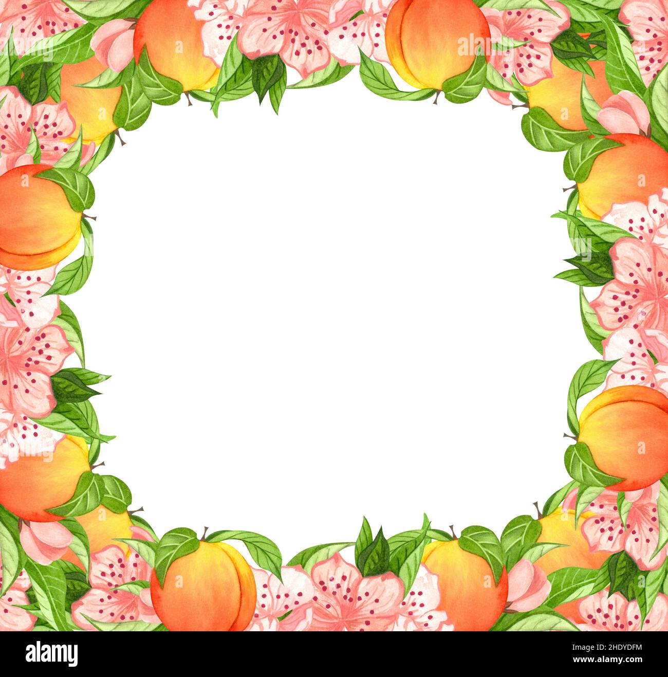 Watercolor wreath with peaches, leaves. Hand drawn frame with pech ...