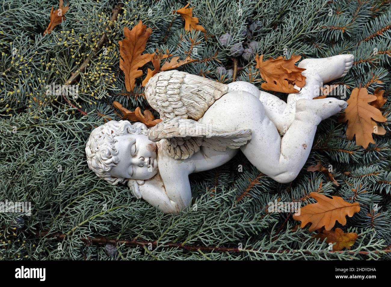 sleeping, resting place, angel figurine, sleep, to be asleep, to sleep, resting places, angel ...
