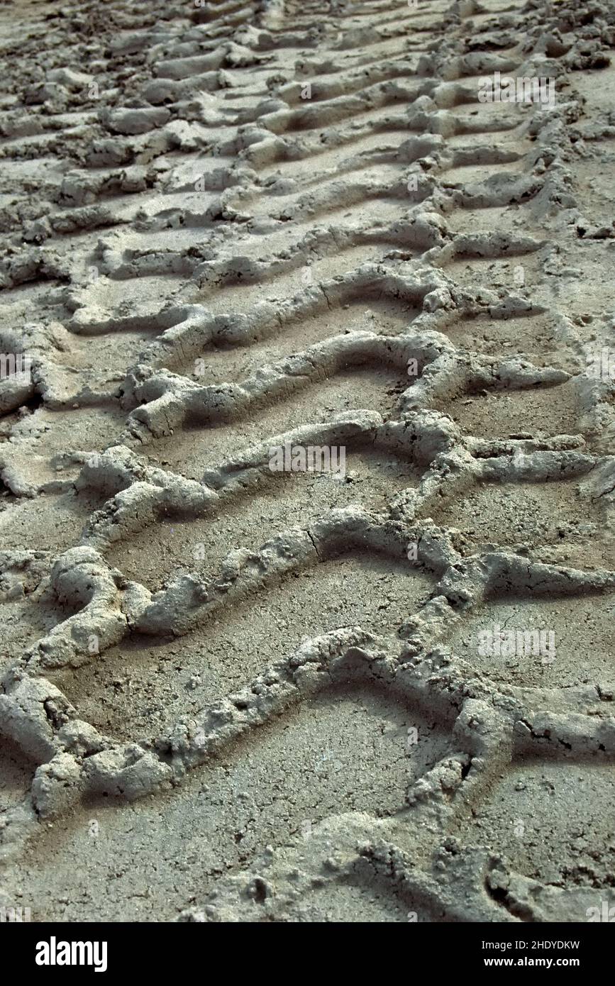tire track, tire mark, tire tracks, tire marks Stock Photo - Alamy