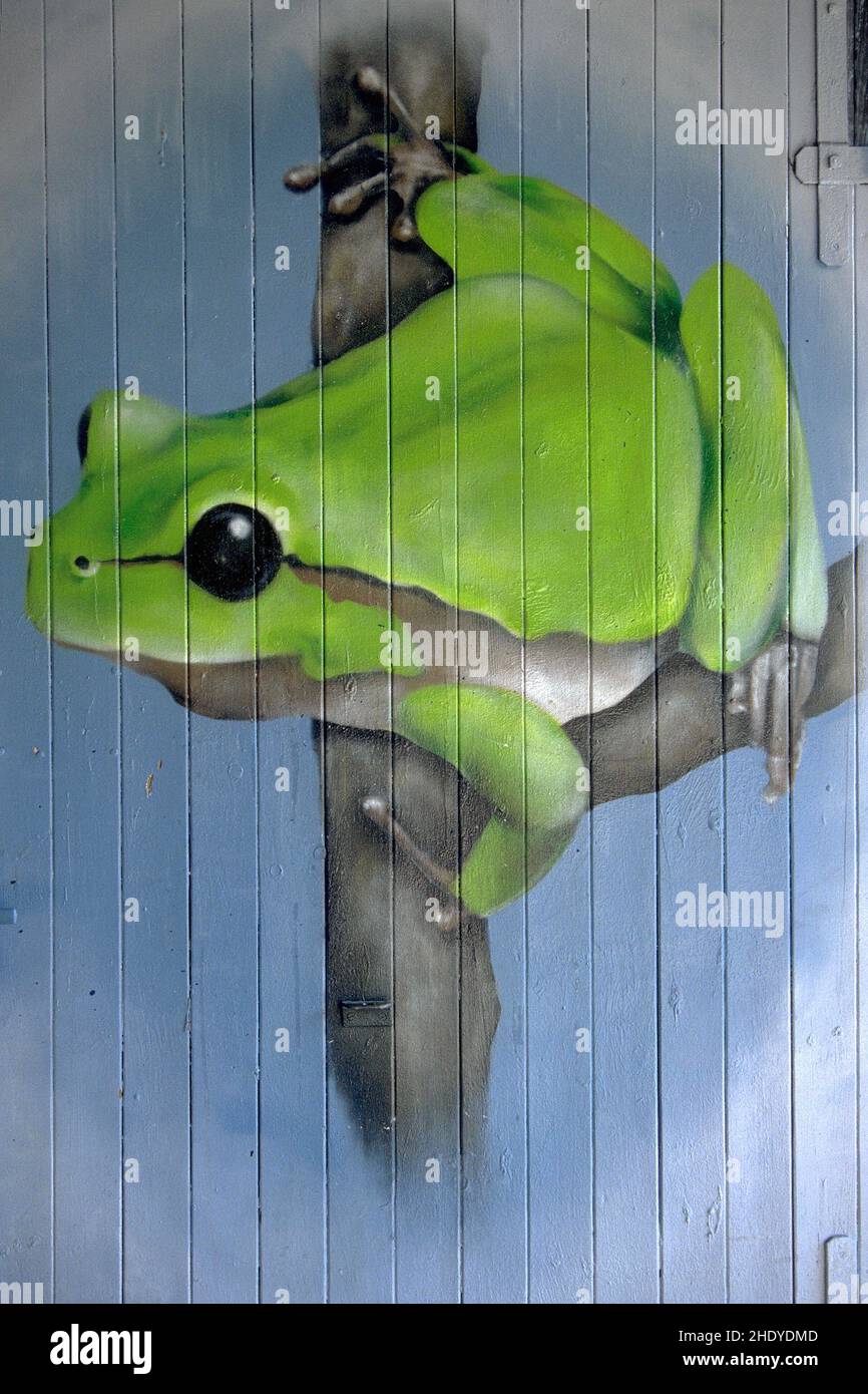 graffiti, tree frog, graffitis, tree frogs Stock Photo - Alamy