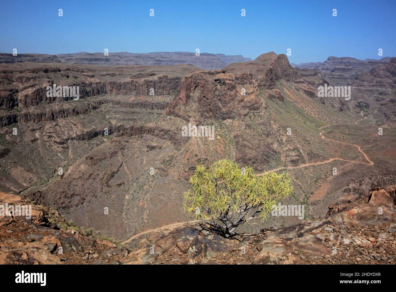 volcanic, grand canary, volcanics, gran canarias, grand canaries Stock ...