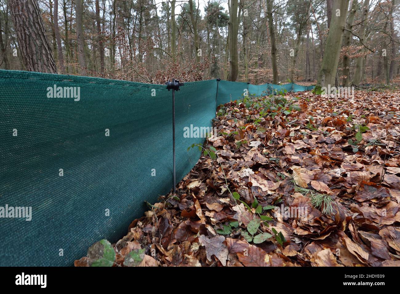 Toad fence hi-res stock photography and images - Alamy
