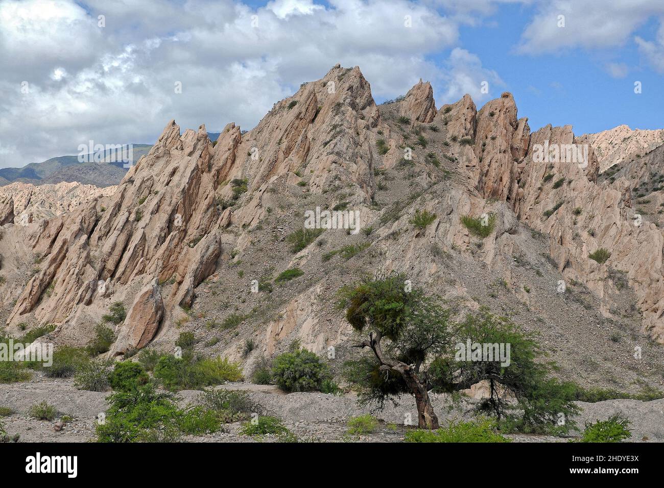 province of salta, quebrada de las conchas Stock Photo - Alamy
