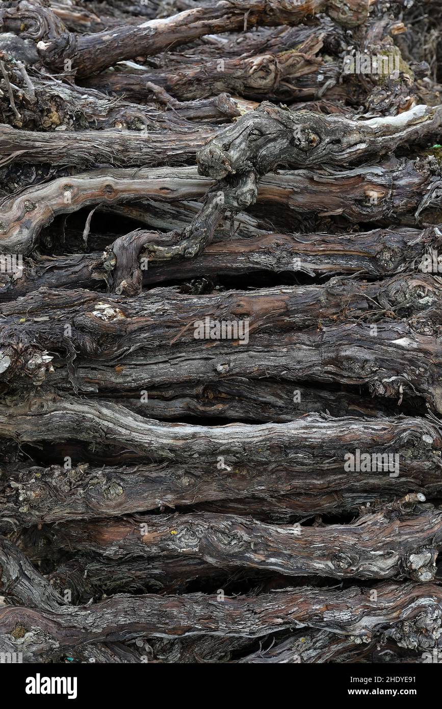 Wood burls hi-res stock photography and images - Alamy
