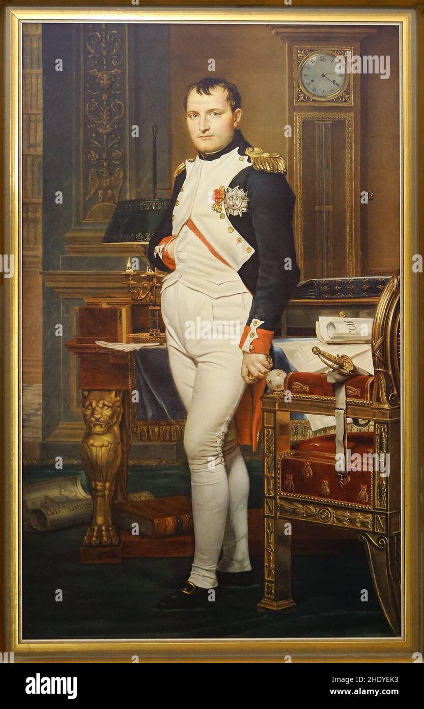 napoleon bonaparte, napoleon bonapartes Stock Photo - Alamy