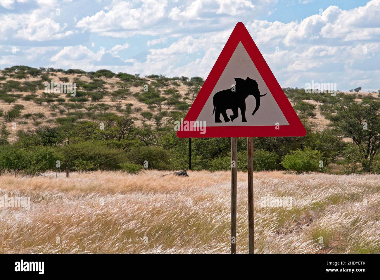 warning sign, elephant, warning signs, elephants Stock Photo - Alamy