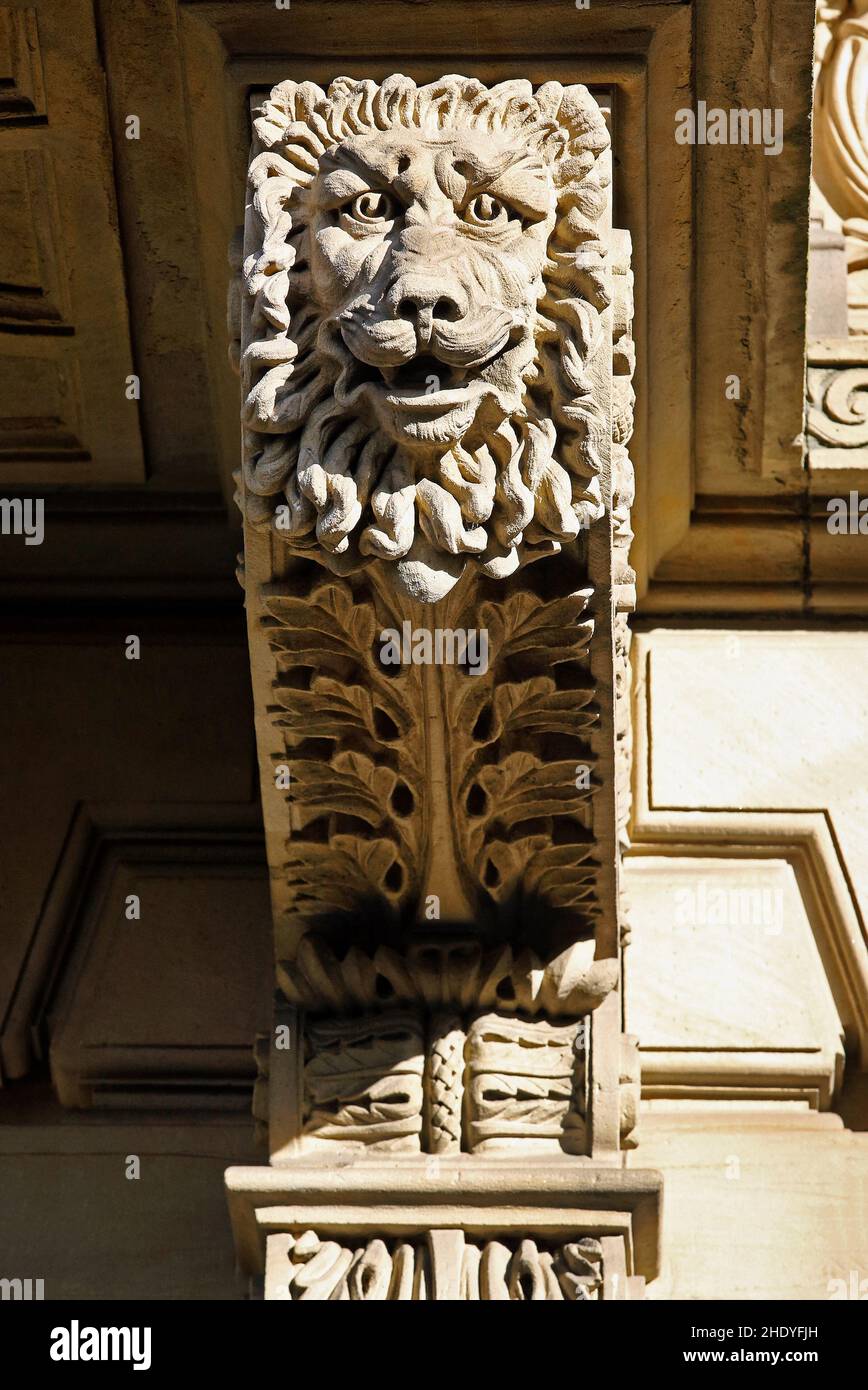 lion head, lion heads Stock Photo - Alamy