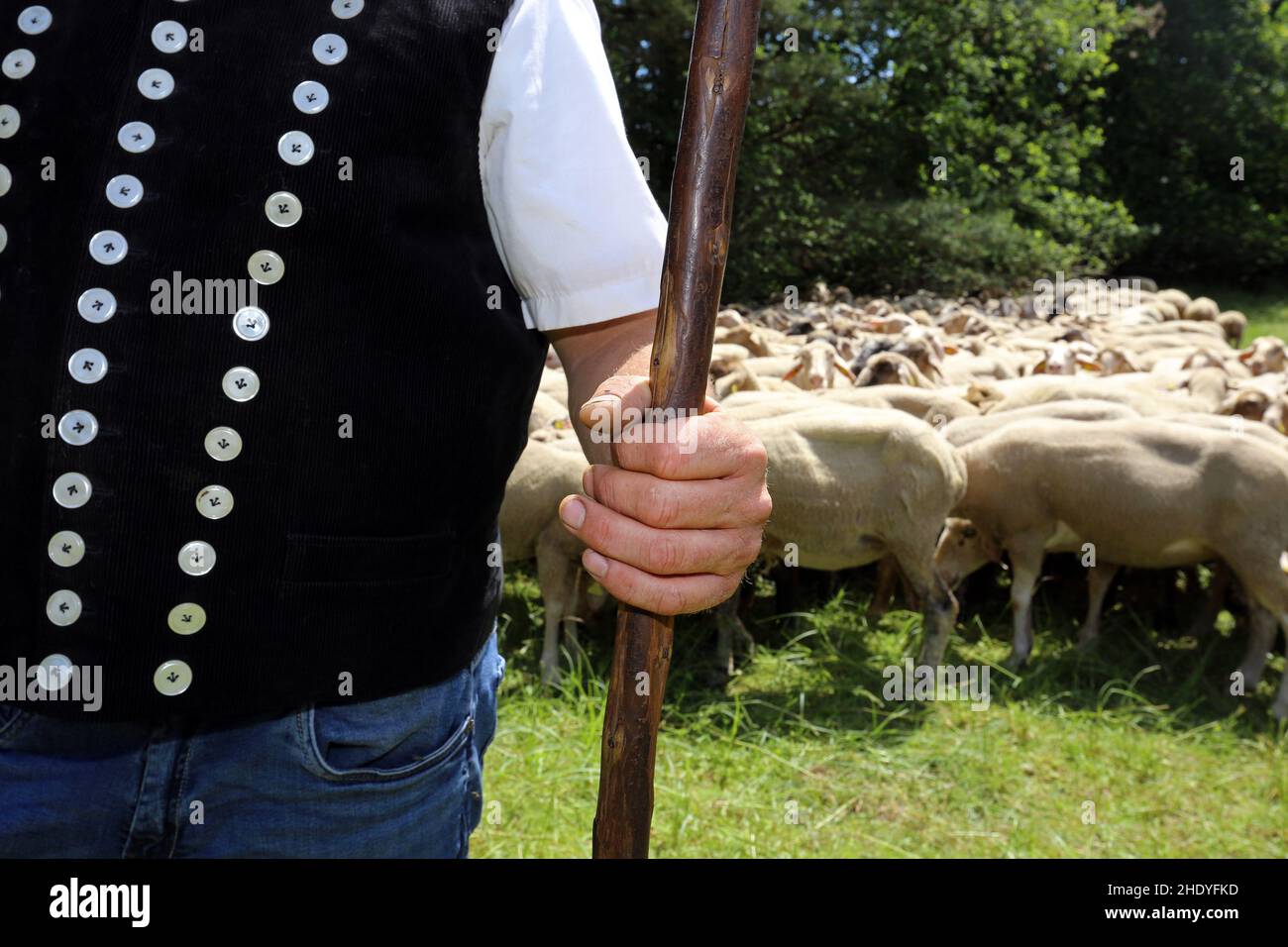 Shepherds job hi-res stock photography and images - Alamy