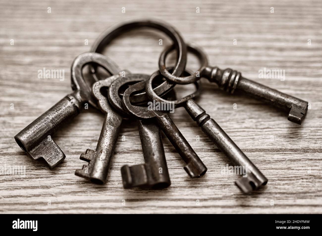 key, key ring, keys, key rings Stock Photo - Alamy