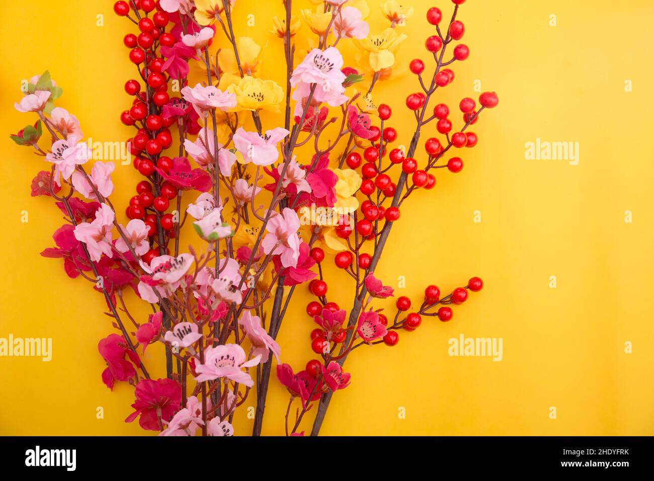 Lunar new year concept, Tet holiday. tet flowers isolated on yellow ...