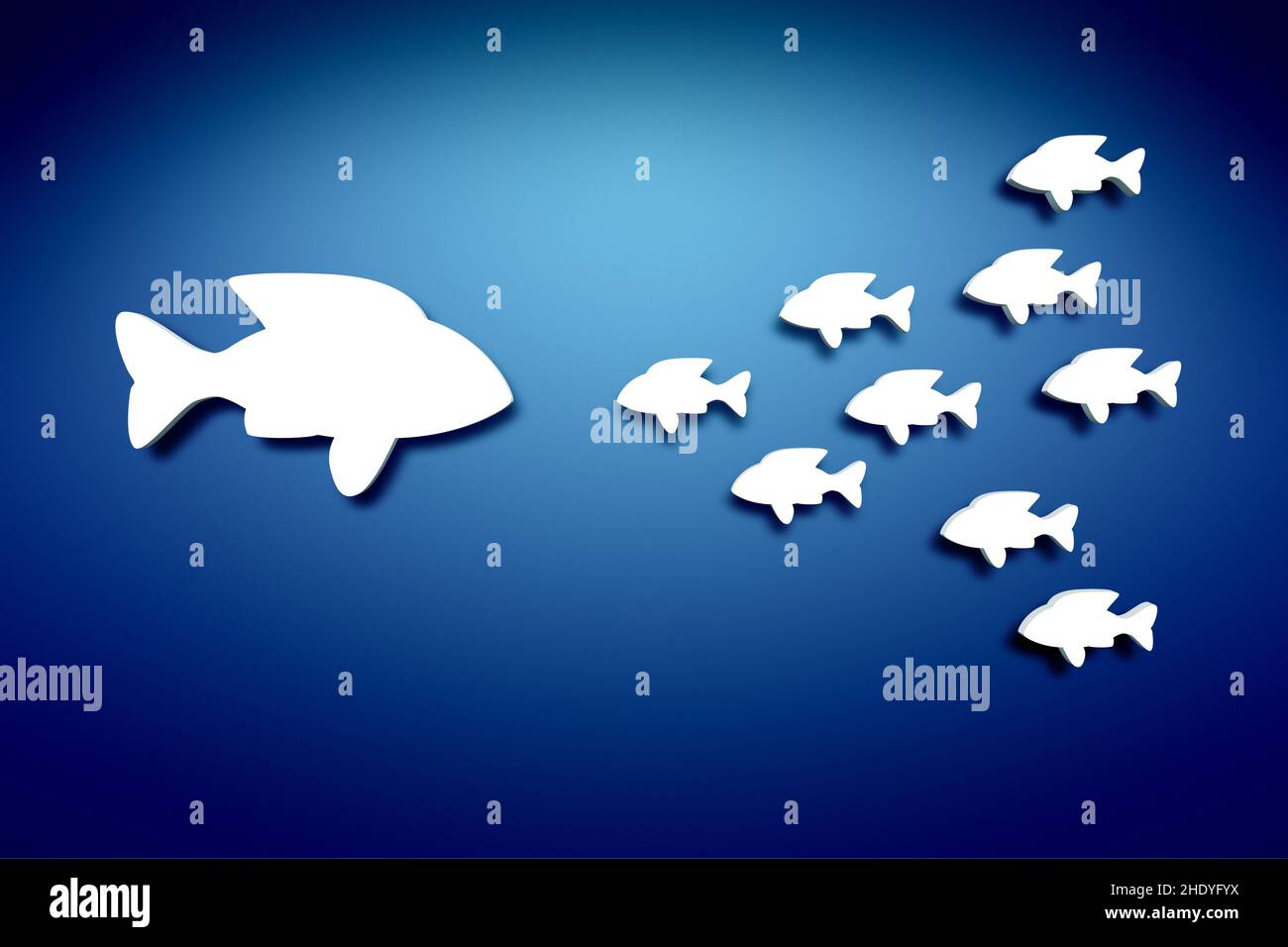 school of fish, fish, school of fishs, fishes Stock Photo - Alamy