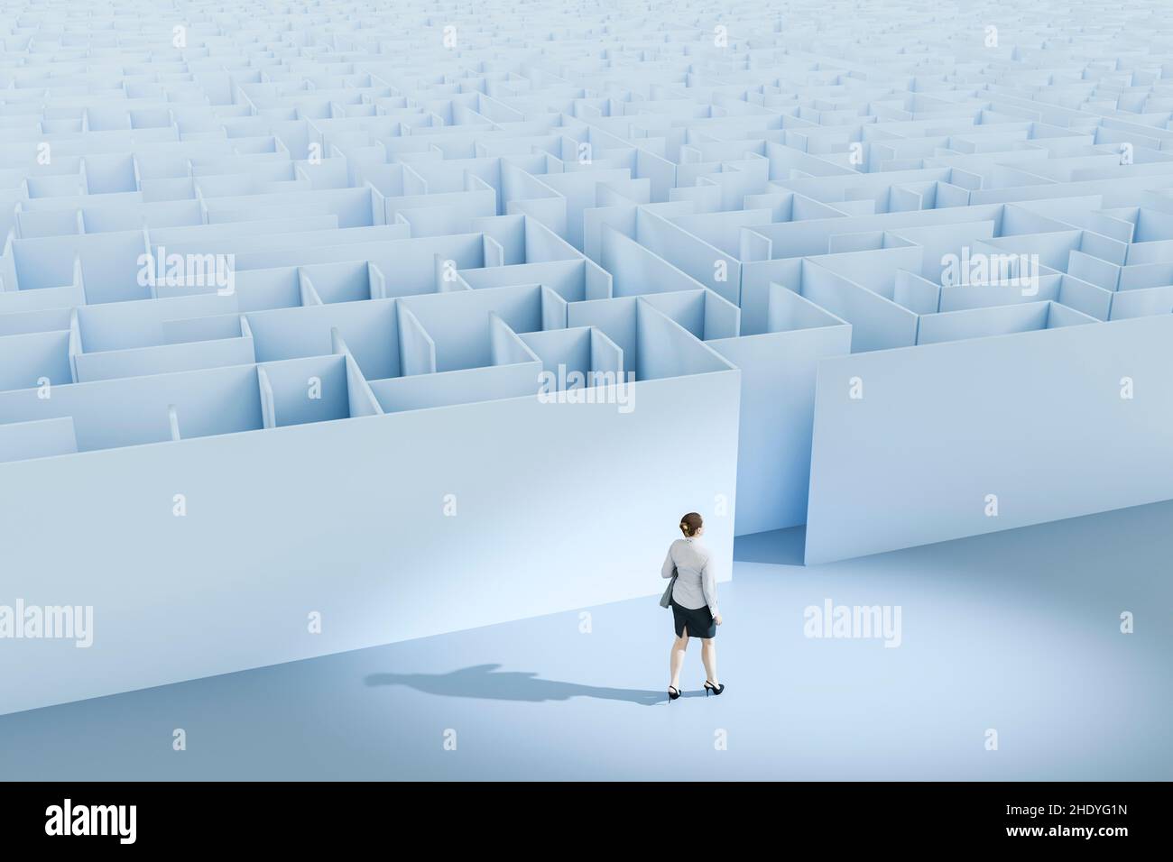 business woman, challenge, labyrinth, maze, boss, business women ...