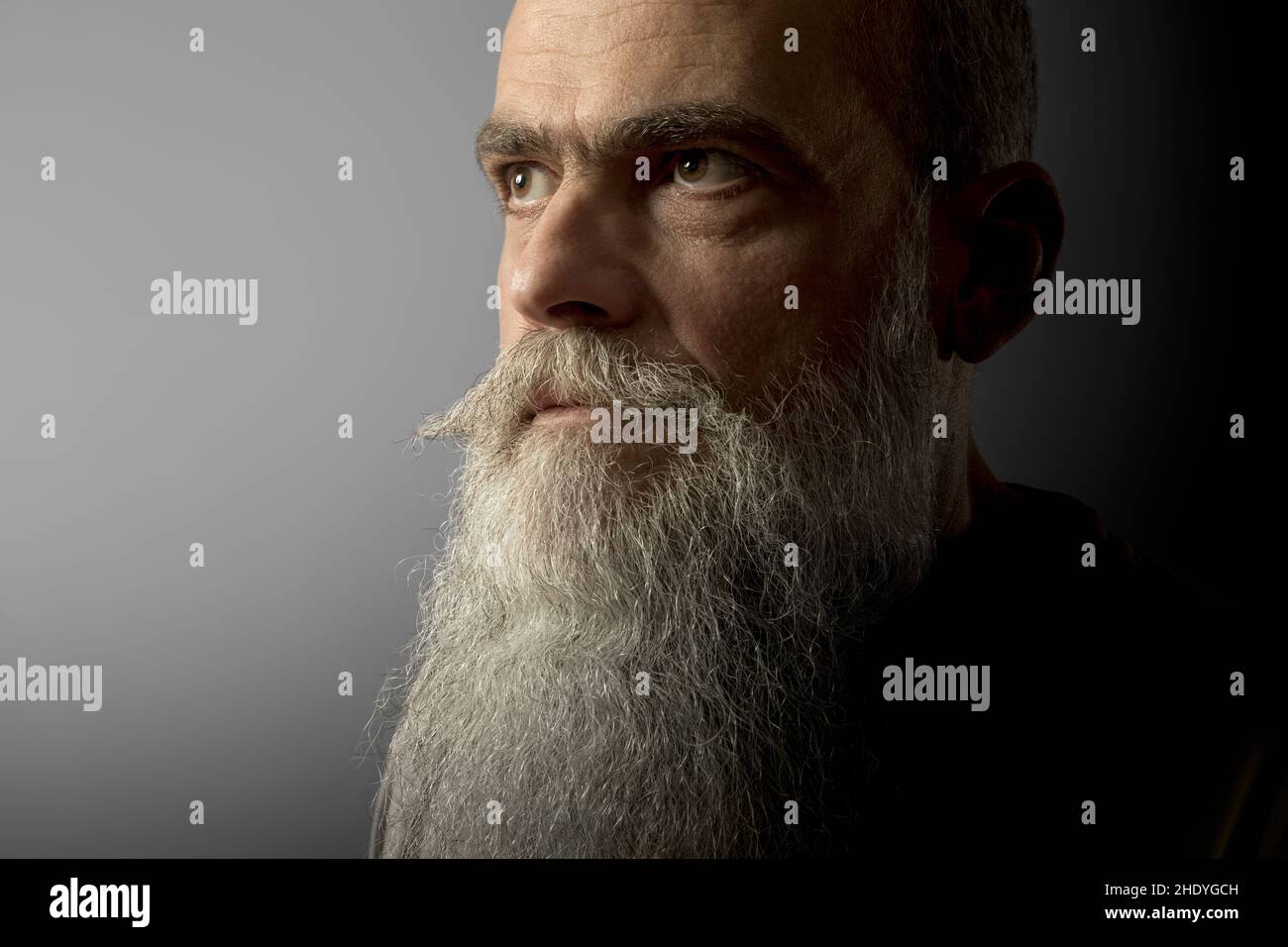 man, serious, concentrated, guy, men, concentrateds Stock Photo - Alamy