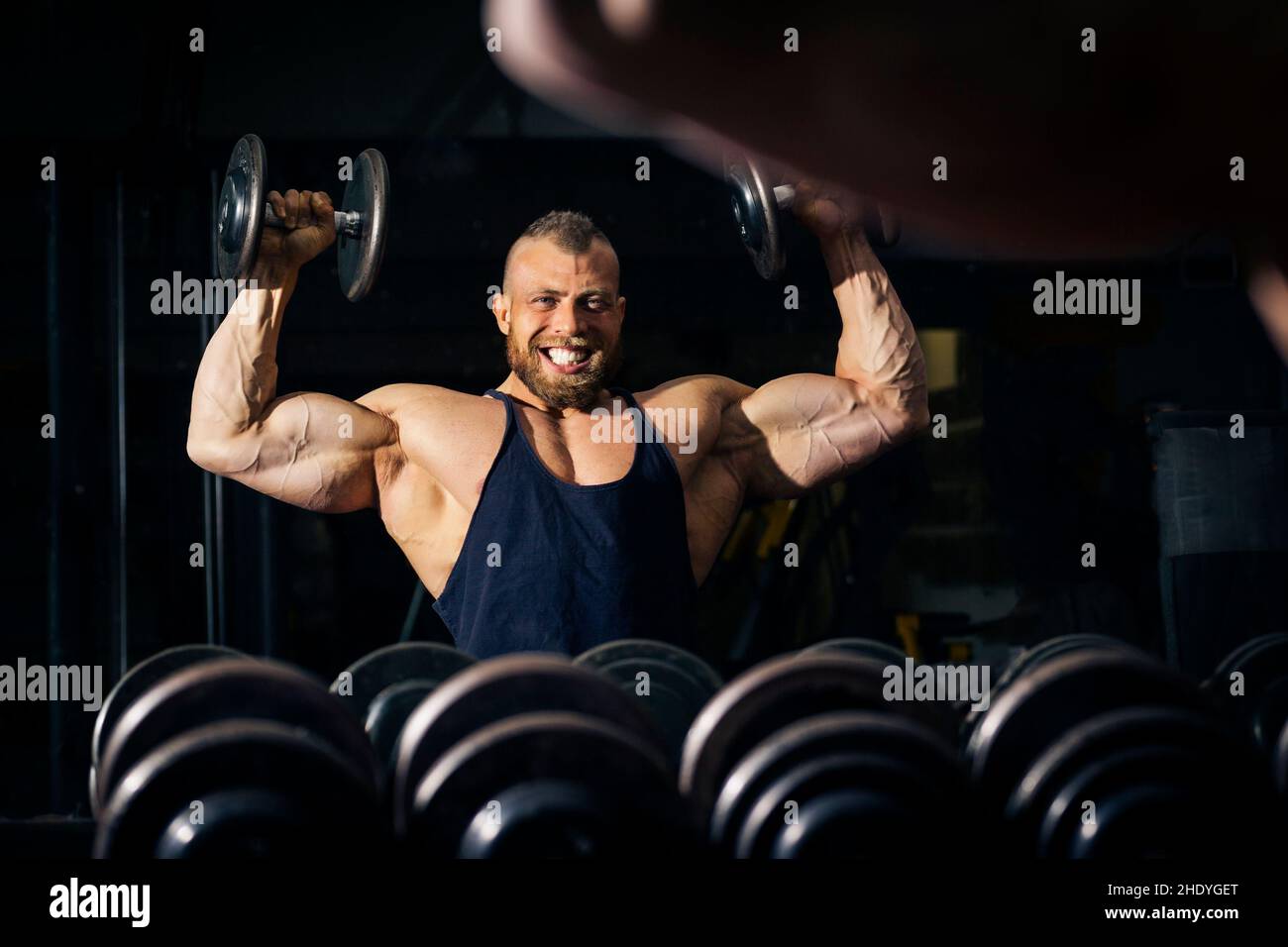 body building, muscle sports, bodybuilder, dumbbell training ...