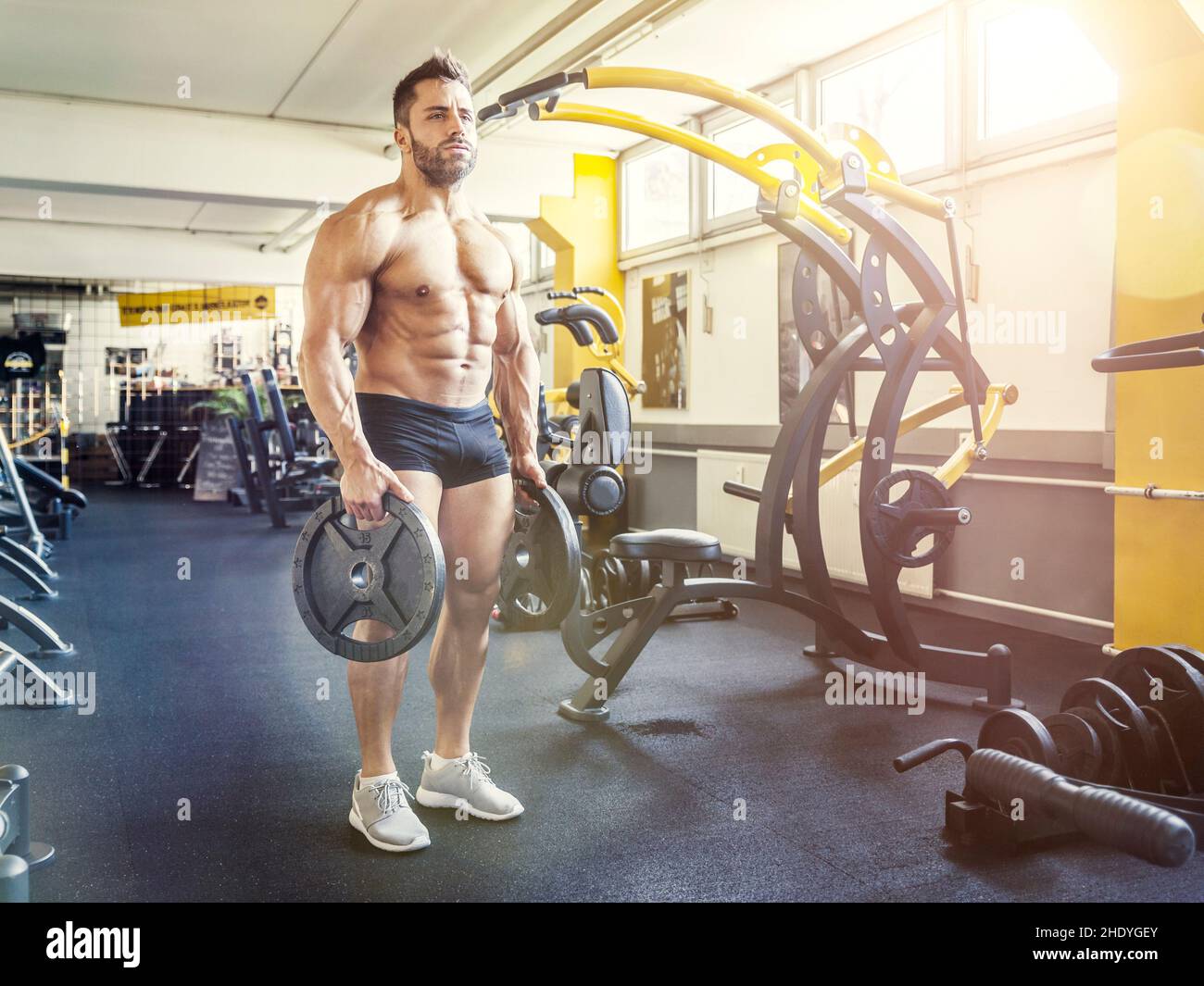 weightlifting, muscle sports, bodybuilder, muscle sport, bodybuilders ...