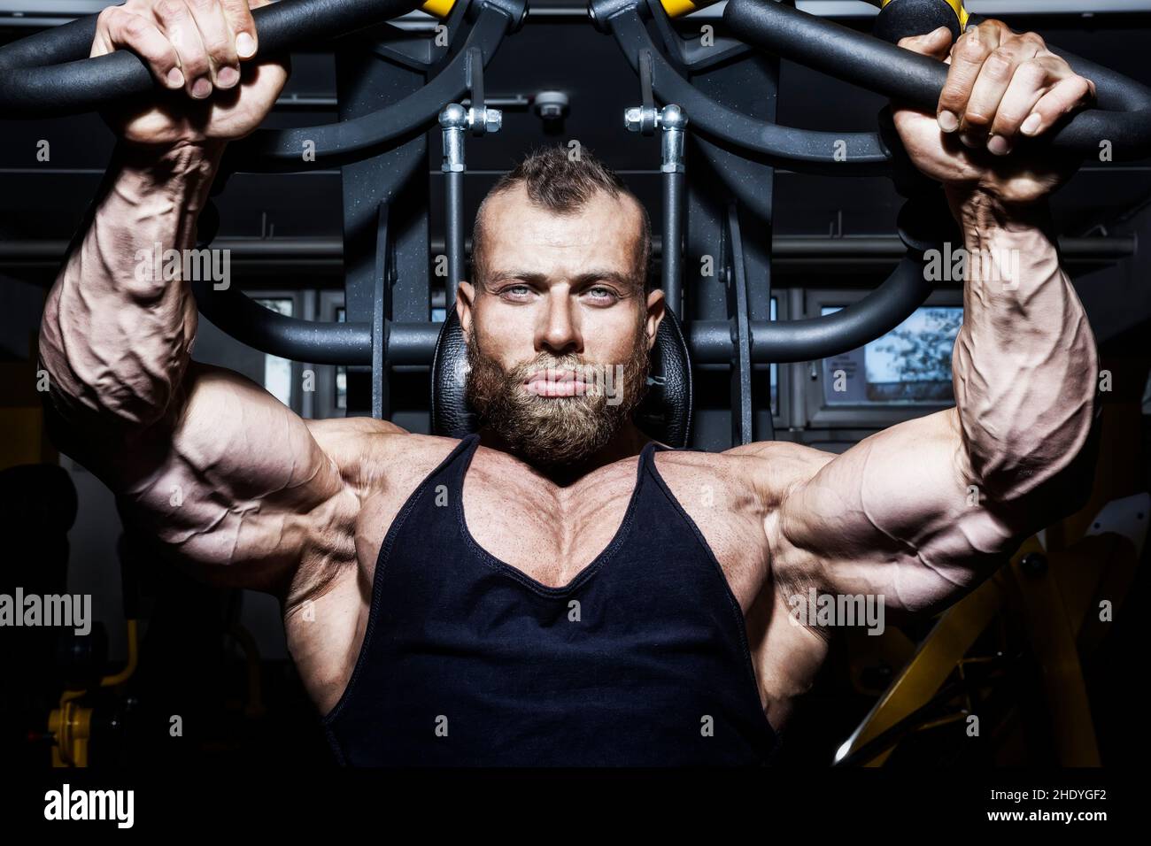 muscular build, weightlifting, bodybuilder, human muscle, muscular ...