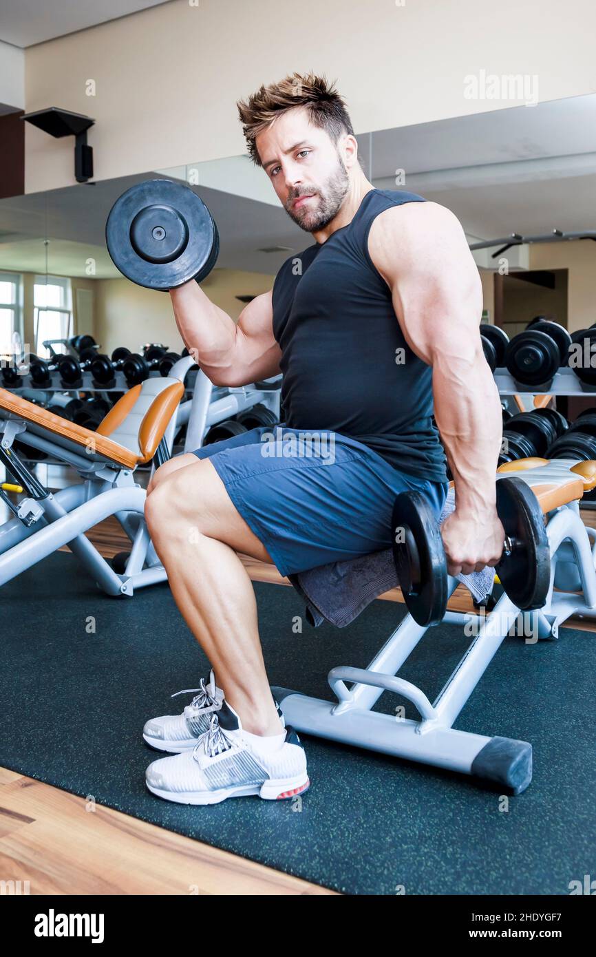 weightlifting, bodybuilder, dumbbell training, human muscle ...