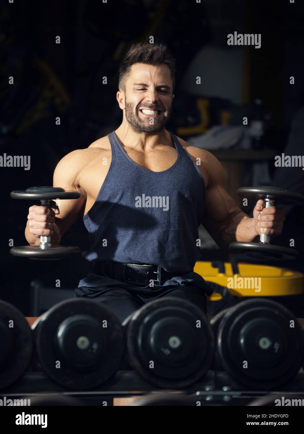 Bodybuilding workouts hi-res stock photography and images - Alamy