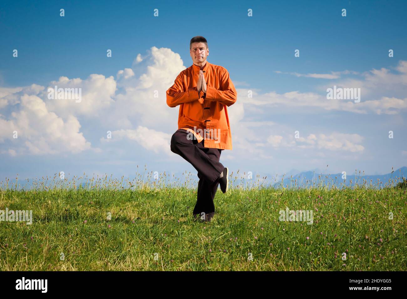 balance, concentration, qigong, balances, concentrations, qigongs Stock ...