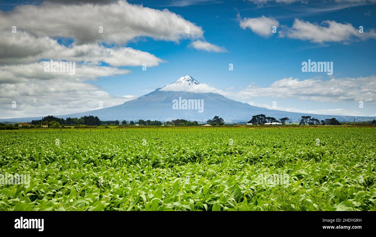 Taranaki scenes taranaki scenes hi-res stock photography and images - Alamy