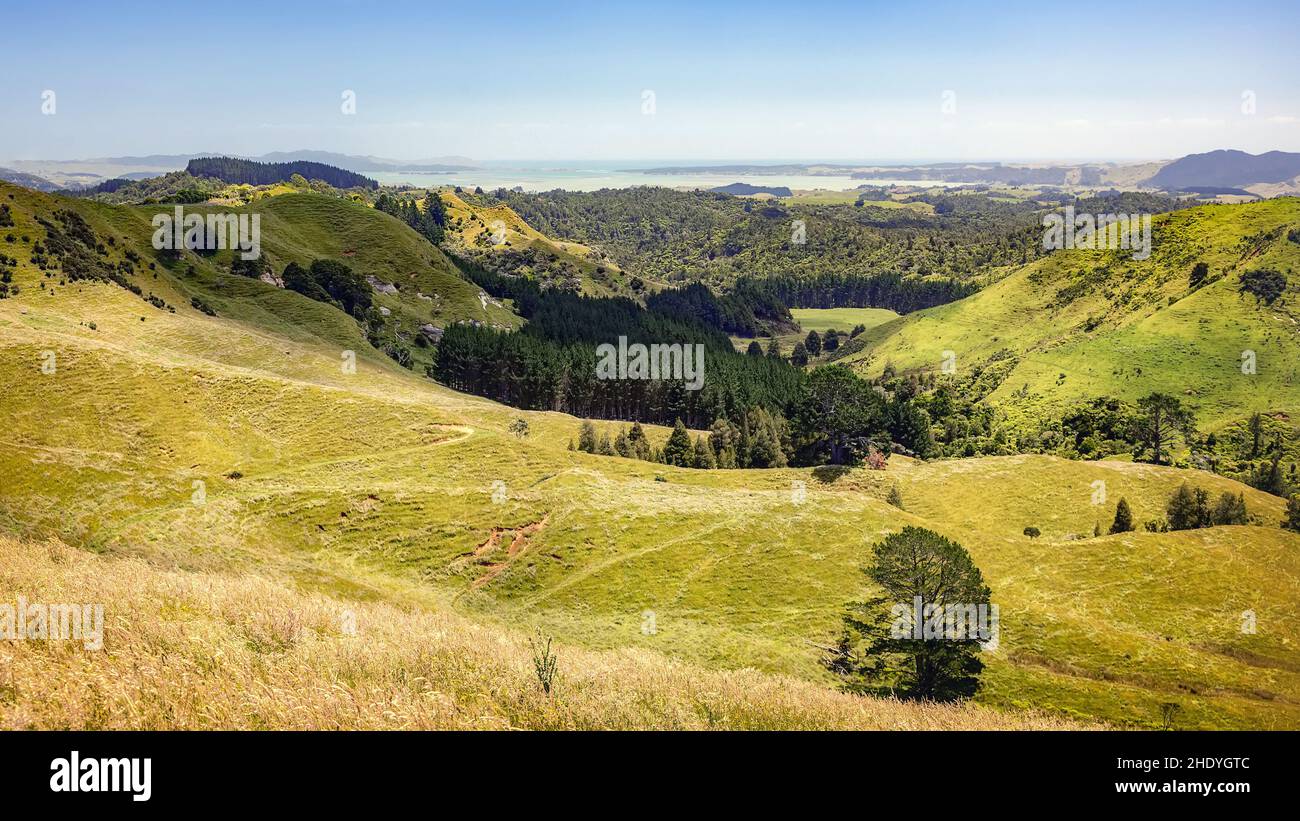 new zealand, hill landscape, new zealands, landscapes, rural, rural ...