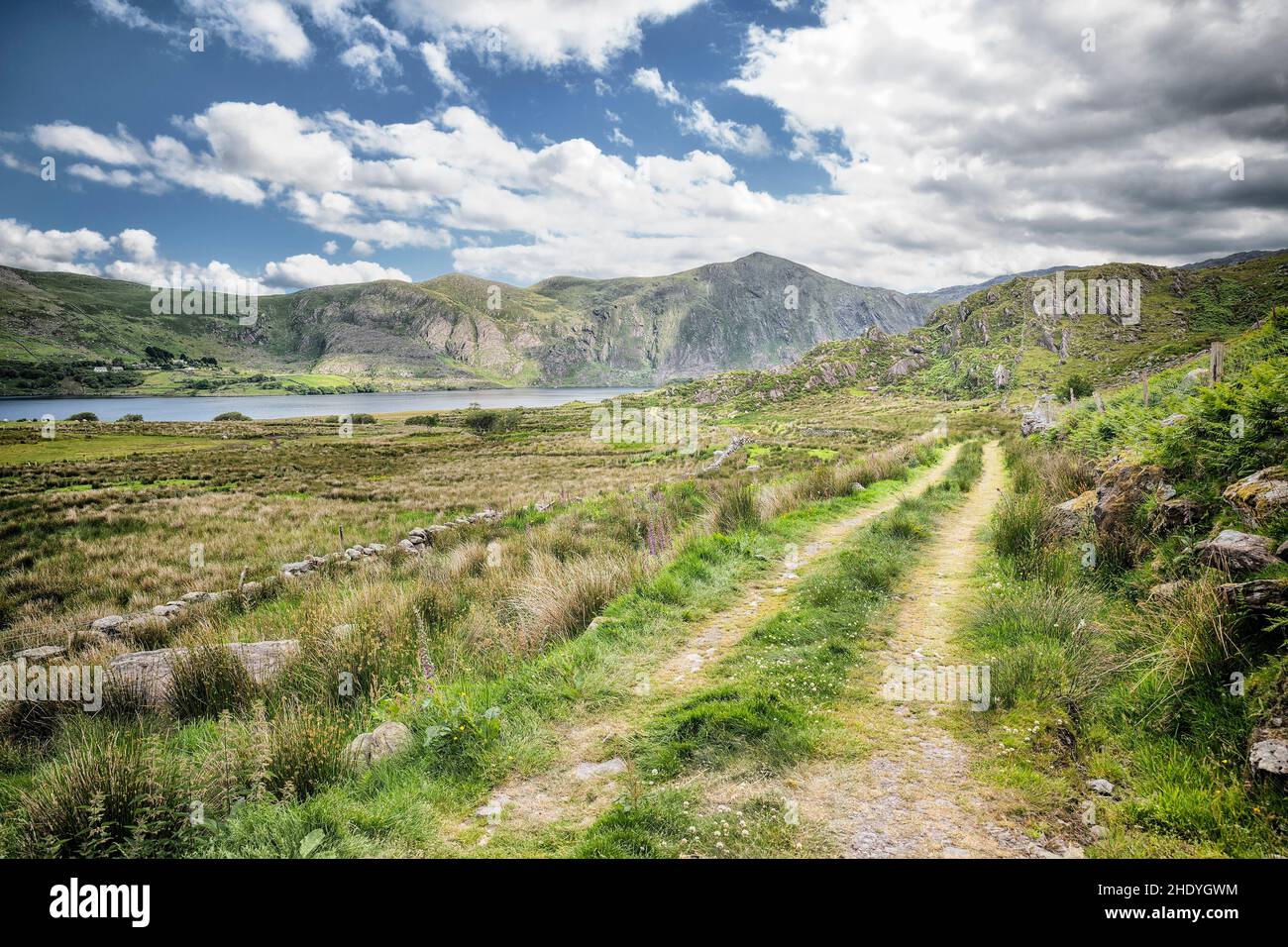 trail, ireland, ring of kerry, trails, irelands Stock Photo - Alamy