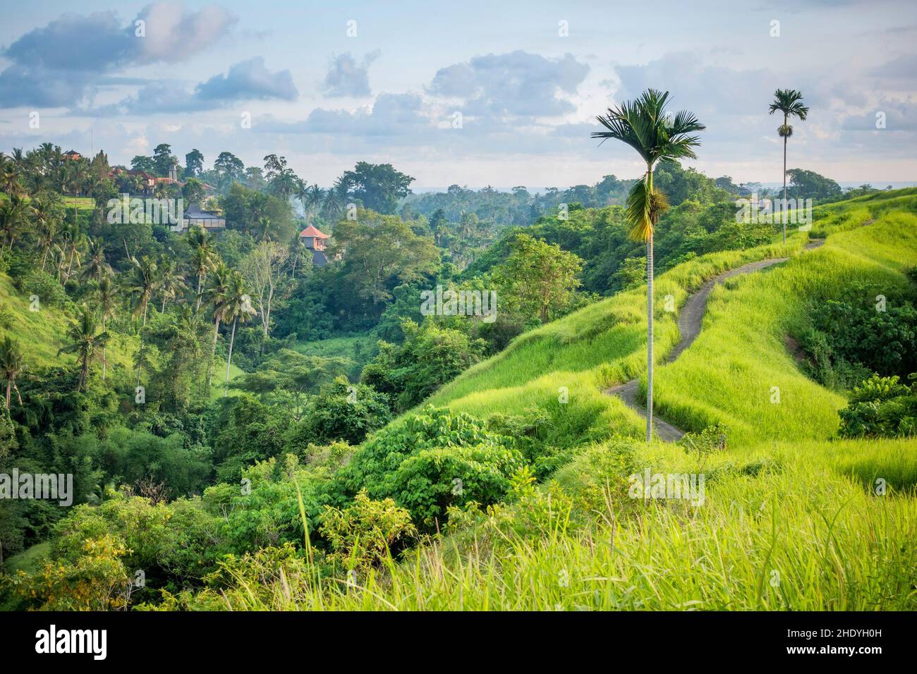 high country, bali, high countries, highland, highlands, balis Stock ...